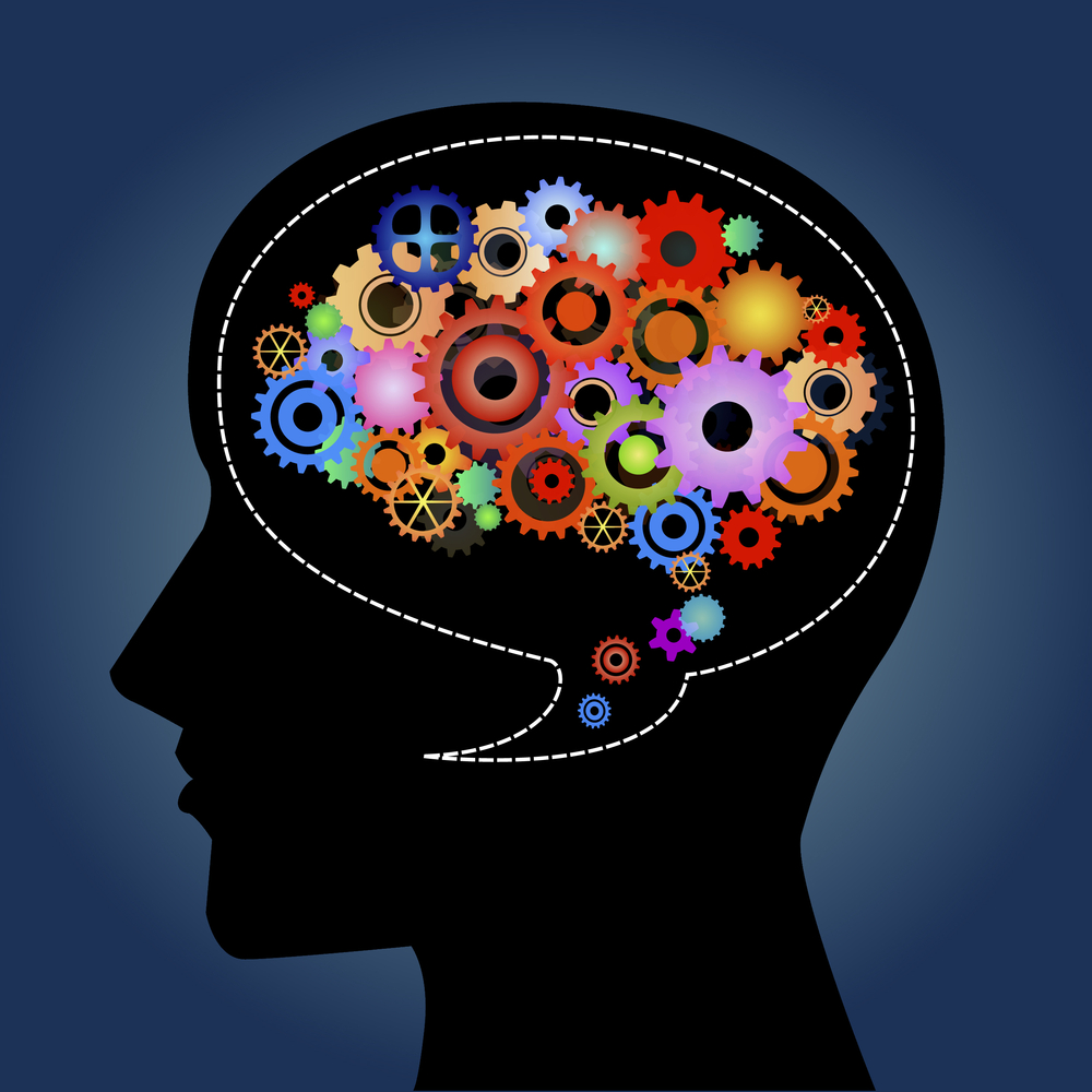 Neuroimaging of Categorical Colour Perception | Brain Blogger